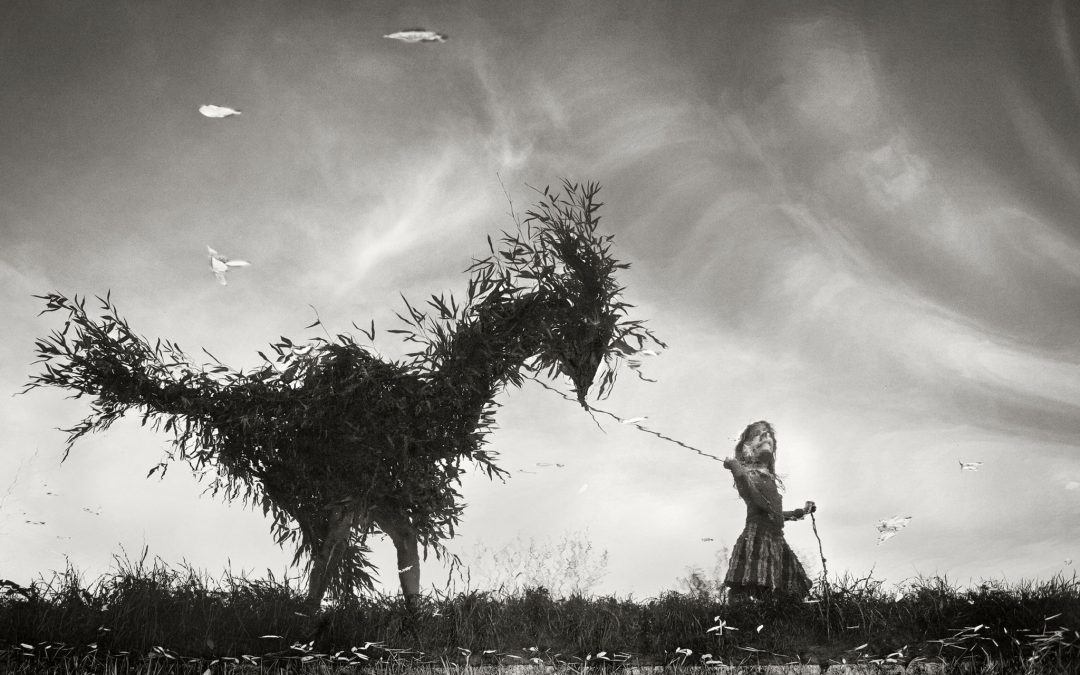 Alain Laboile - Angkor Photo Festival & Workshops