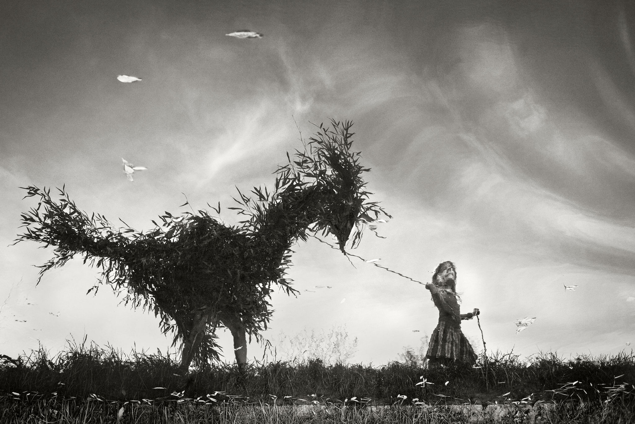 Alain Laboile - Angkor Photo Festival & Workshops